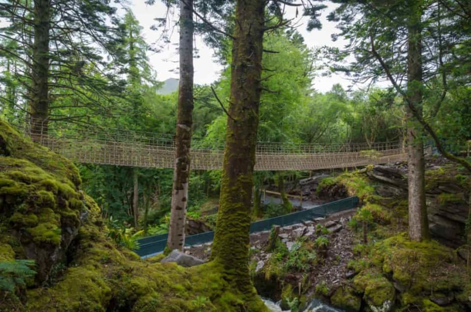 Guided Group Garden Holiday to Kerry