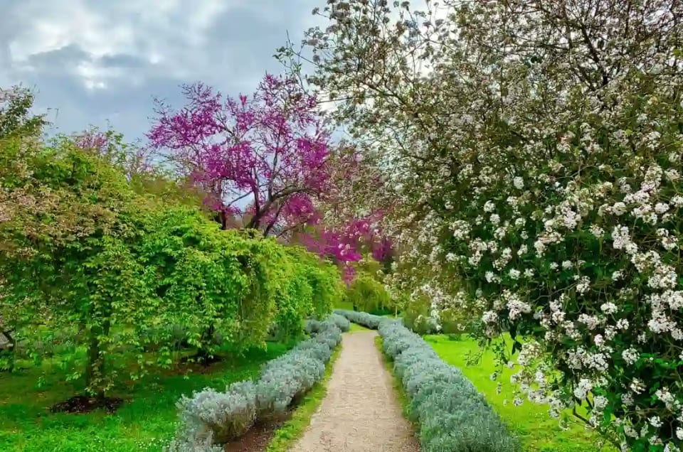 Gardens of Rome | Travel Department