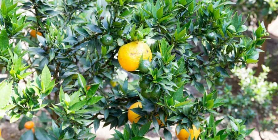 12 Interesting facts about Italy | Travel Department