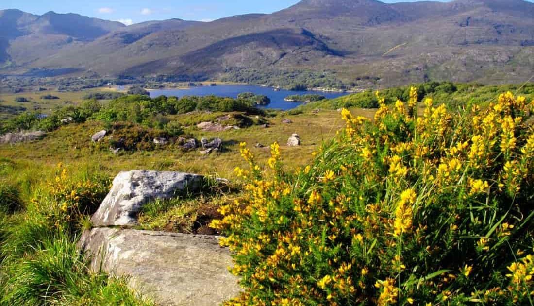 Guided Group Garden Holiday to Kerry