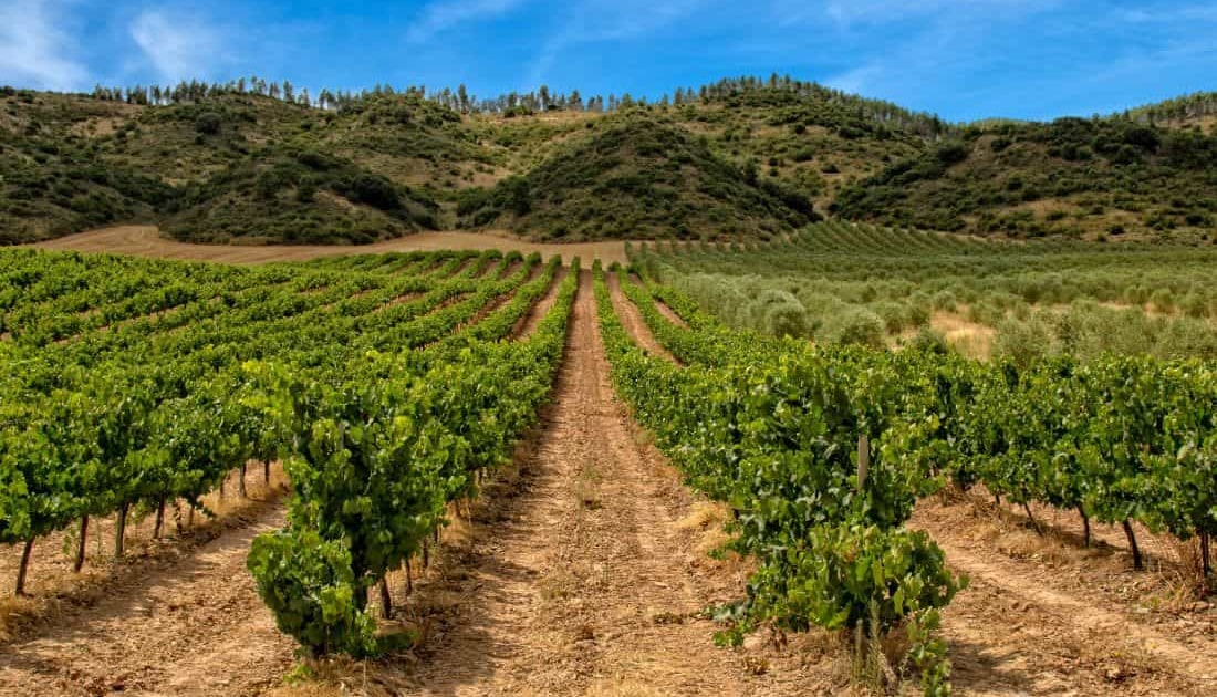 Guided small group tours to the Basque Country