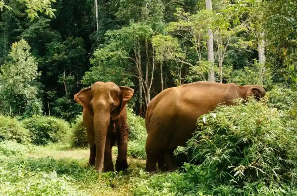 Highlights Of Bangkok And Cambodia Incl Angkor Wat